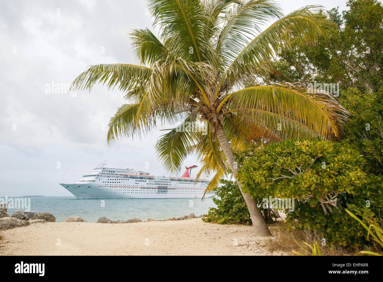 Cruise Ship Palm Trees High Resolution Stock Photography and Images - Alamy
