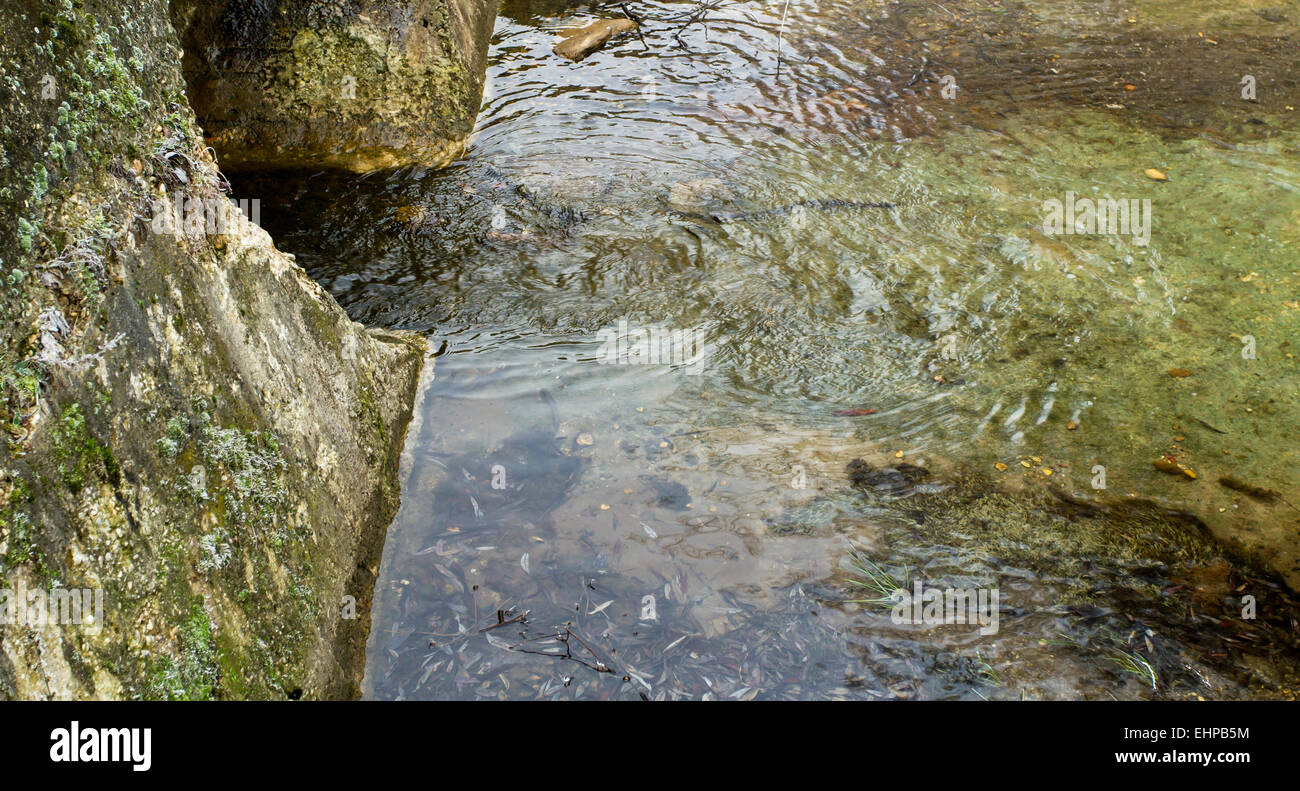 Outflow canal hi-res stock photography and images - Alamy