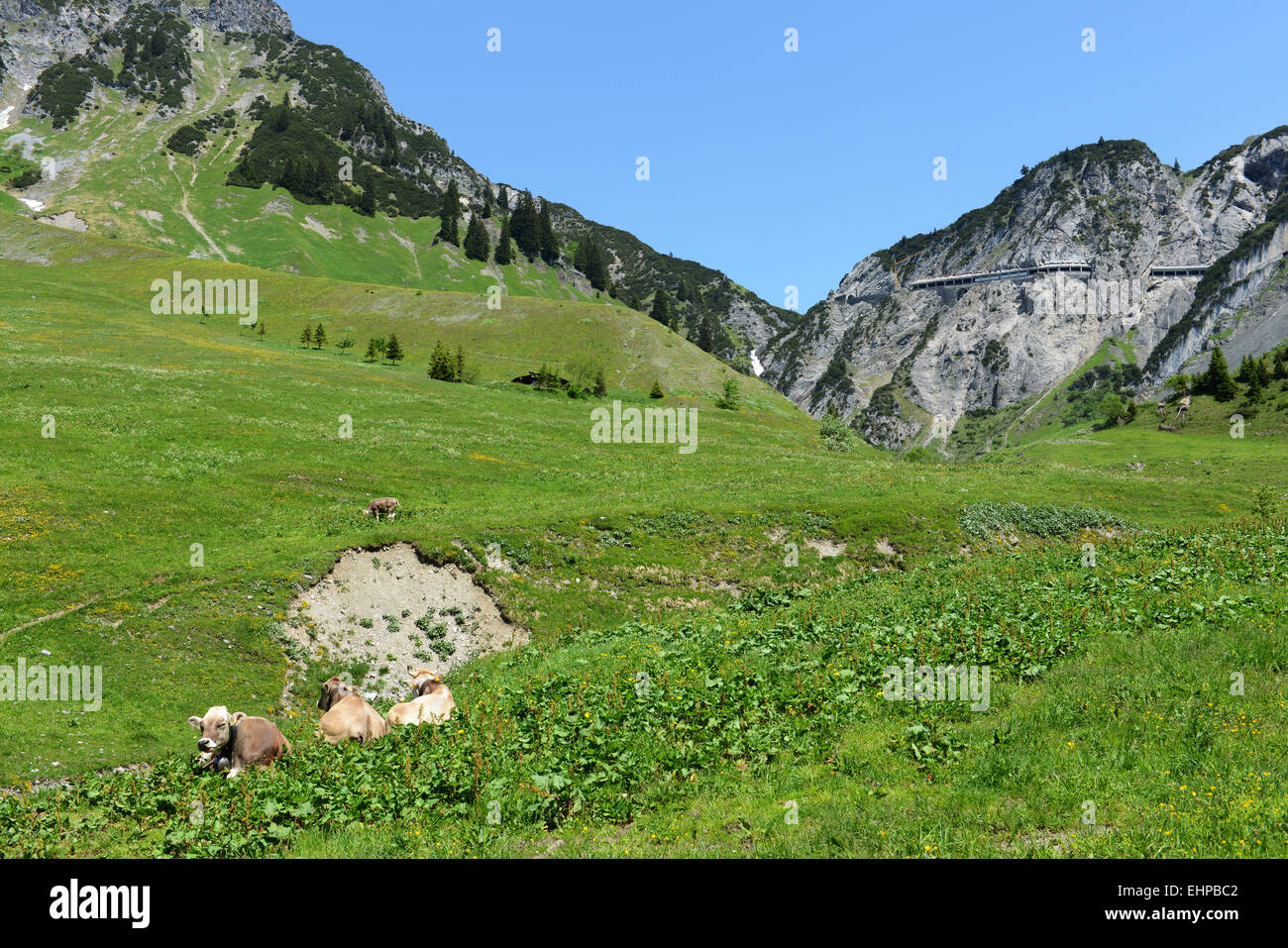 Arlbergpass High Resolution Stock Photography and Images - Alamy