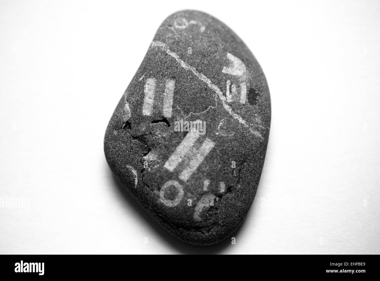 Bone age Black and White Stock Photos & Images - Alamy