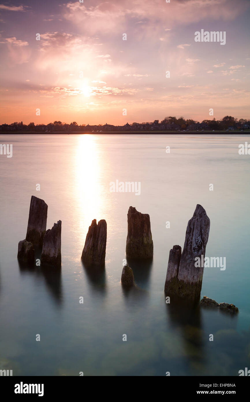Wooden posts are all that remain of a former pier at Waterfront Park in ...