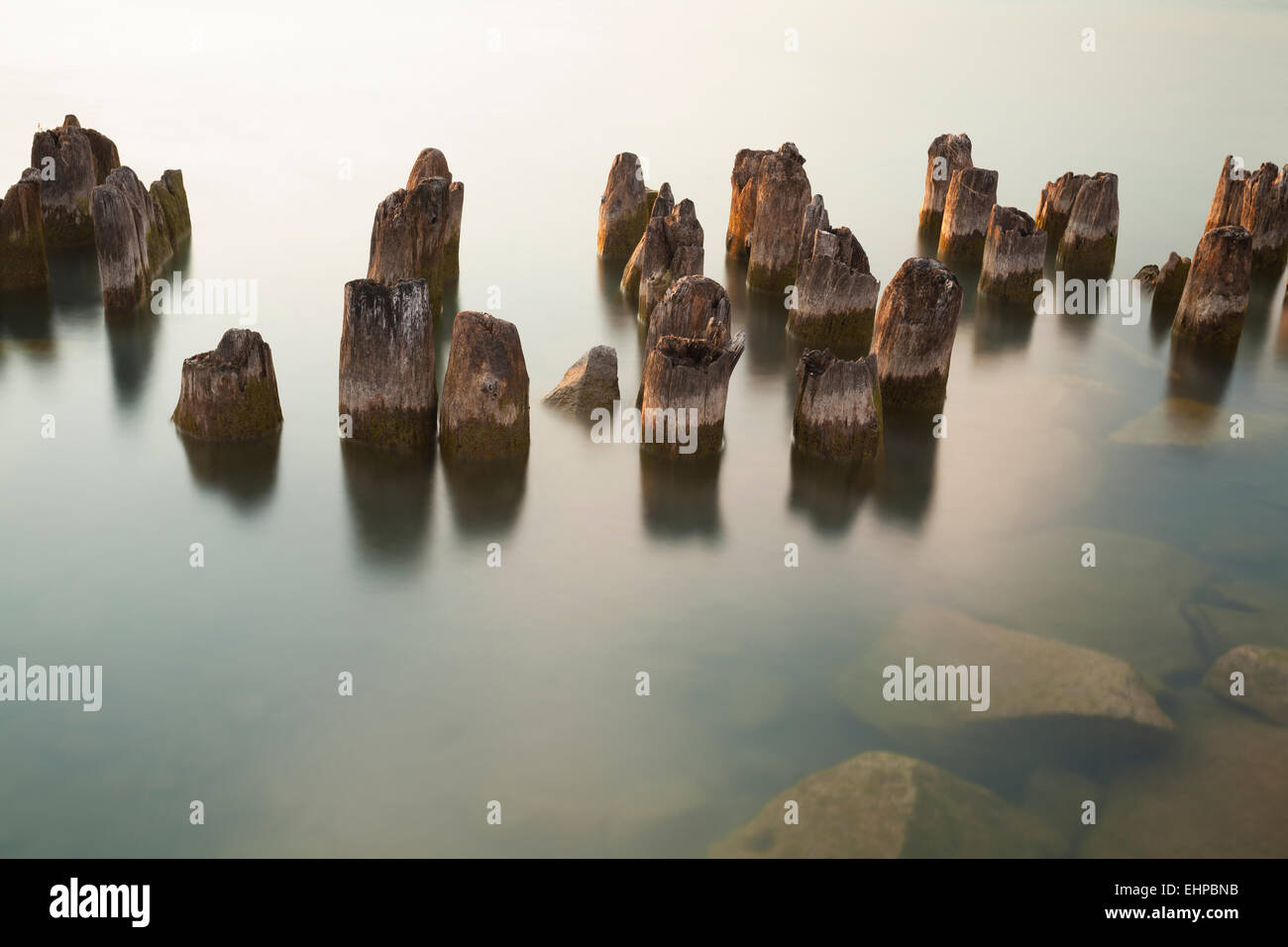 Wooden posts left over from an old pier in the St. Clair River Stock ...