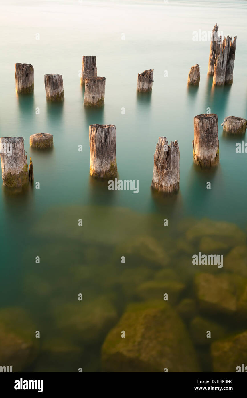 Wooden posts left over from an old pier in the St. Clair River Stock ...