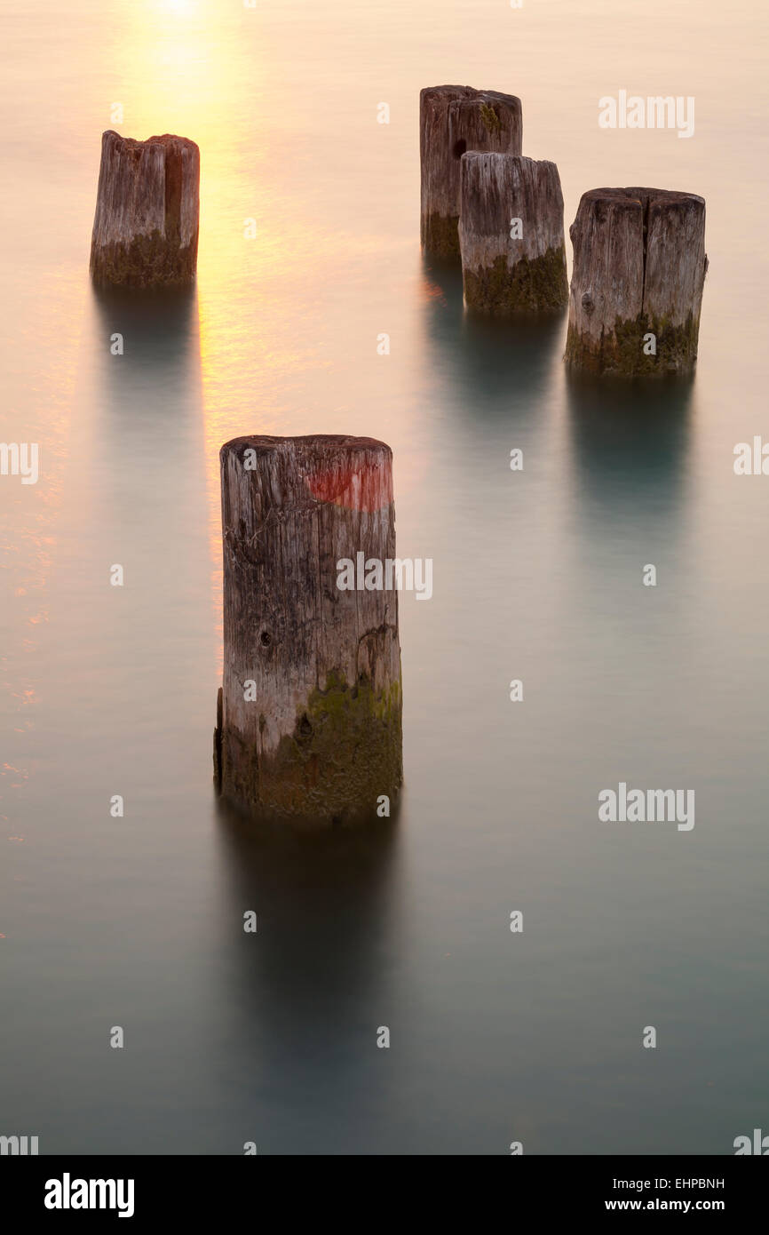 Wooden posts left over from an old pier in the St. Clair River Stock ...