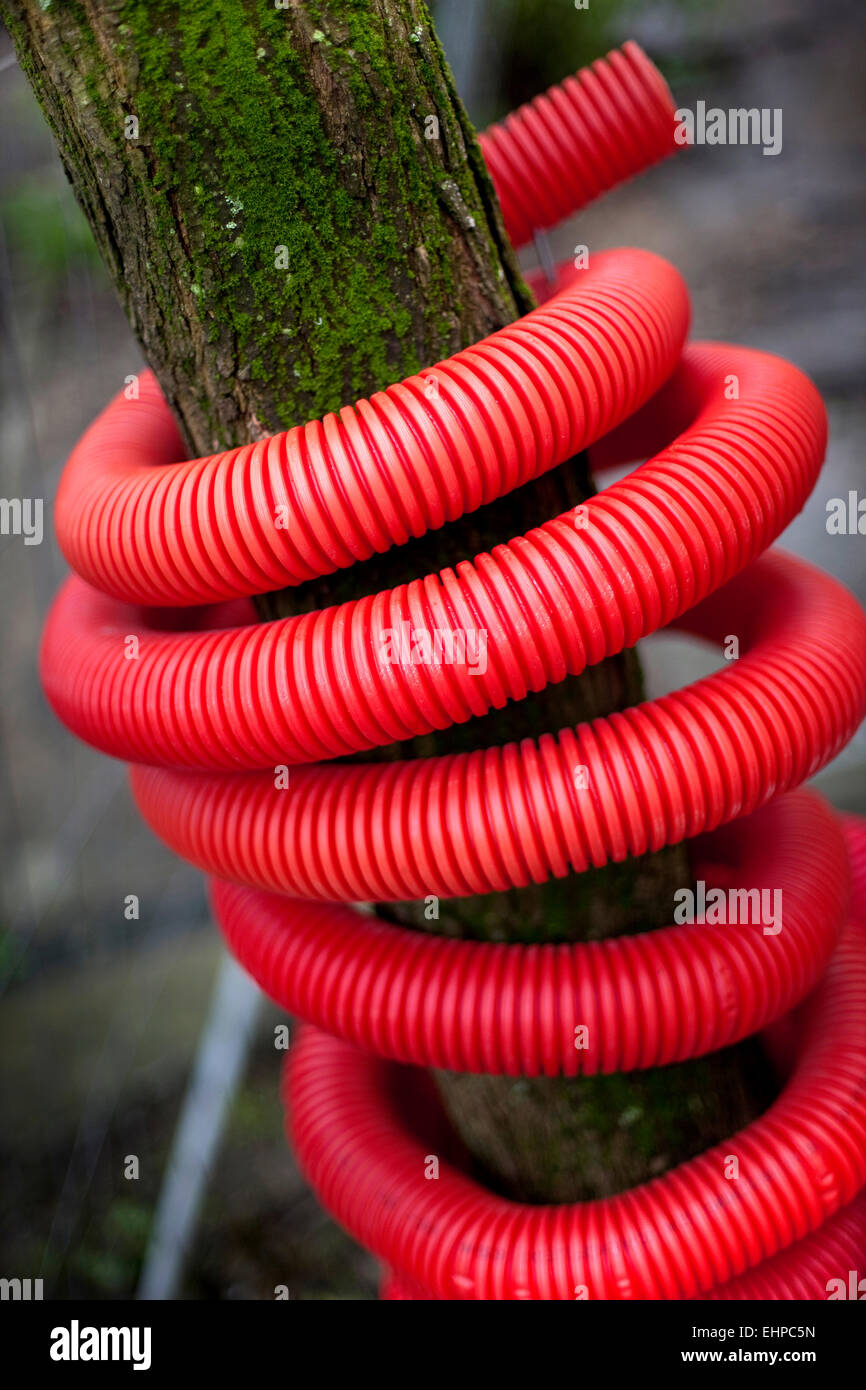 Tree construction hi-res stock photography and images - Alamy