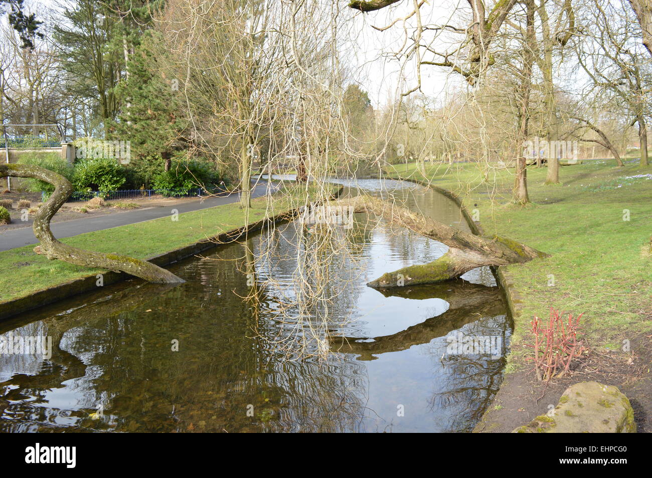 Pond in a park hi-res stock photography and images - Alamy