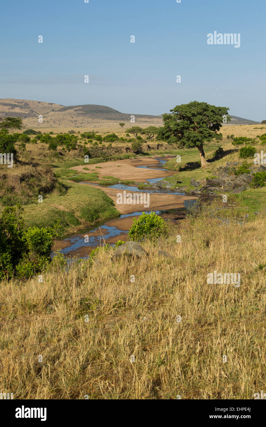 Wandering lugga, Maasai Mara Stock Photo - Alamy