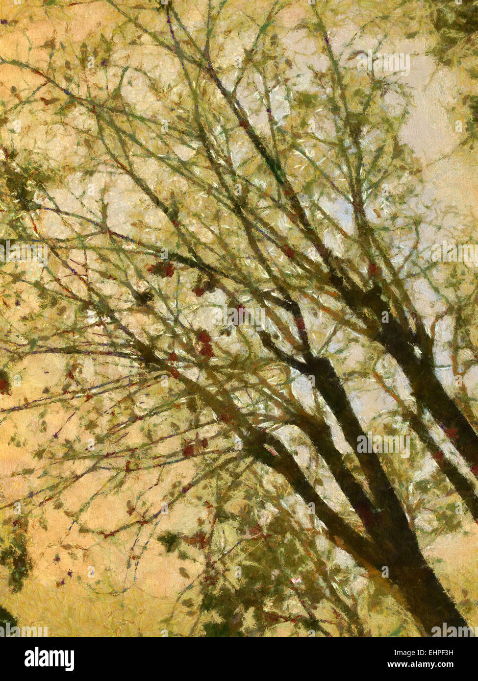 Tree Painting High Resolution Stock Photography and Images - Alamy