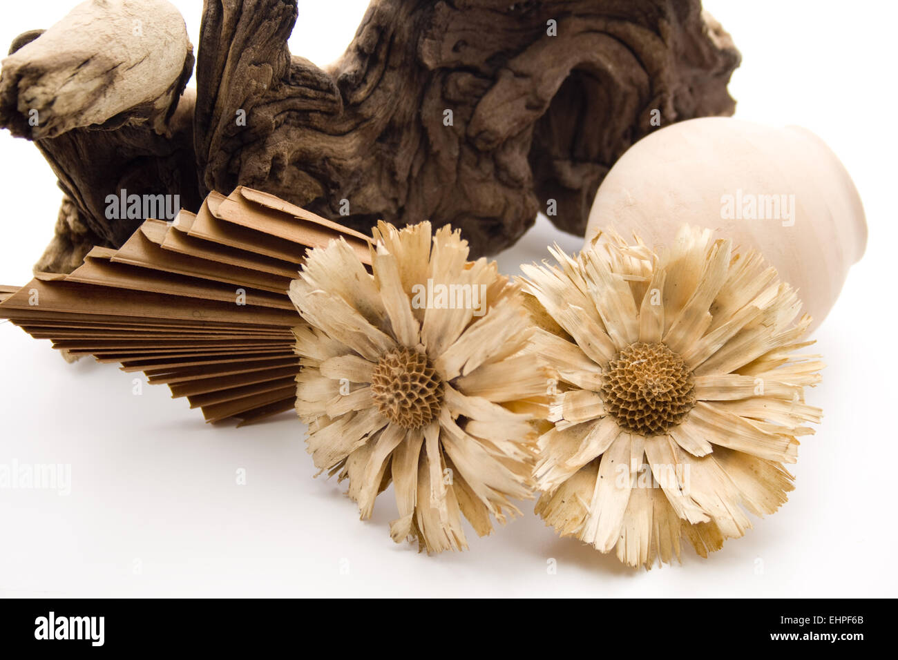 Dry flowers with root Stock Photo - Alamy