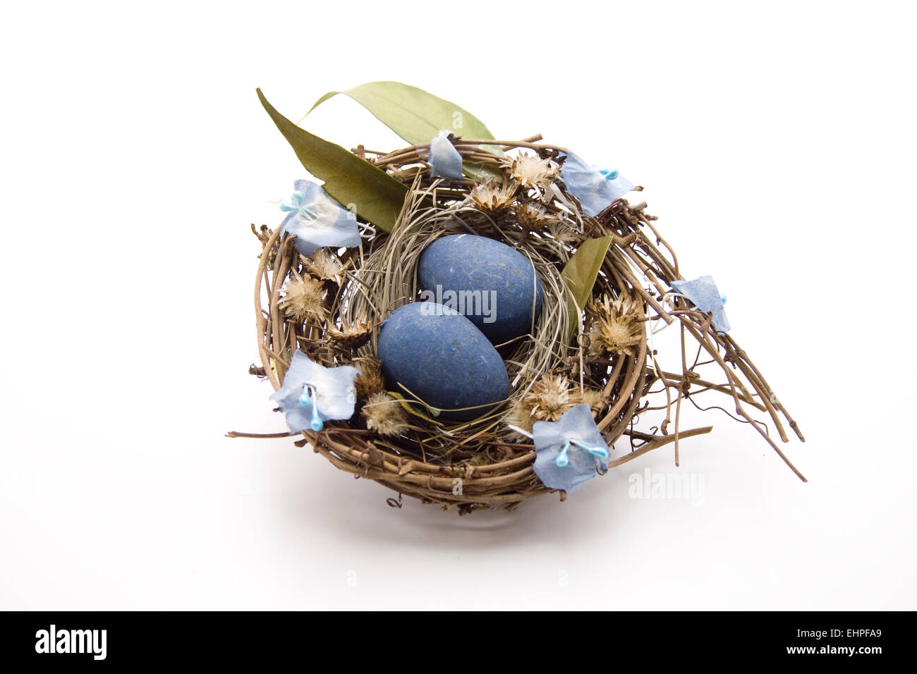 Blue eggs in the nest Stock Photo - Alamy