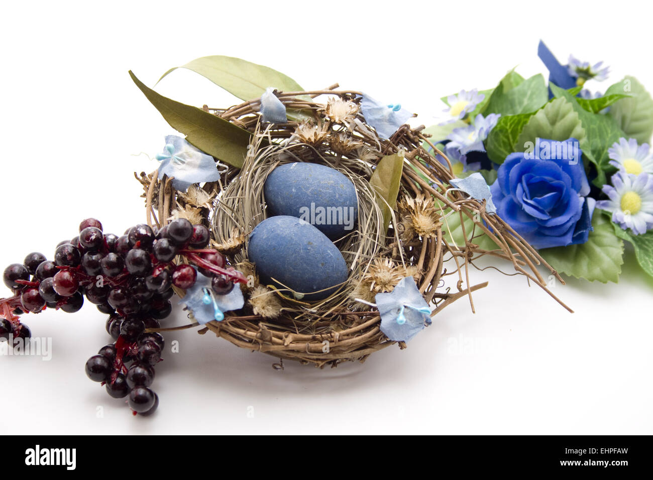 Blue eggs in the nest Stock Photo - Alamy