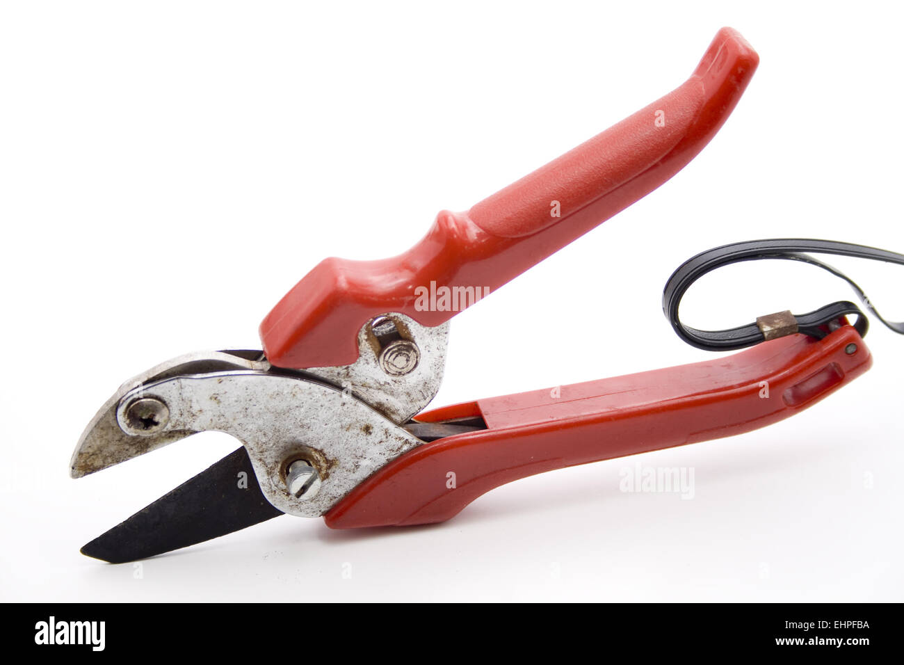 Rosensch hi-res stock photography and images - Alamy