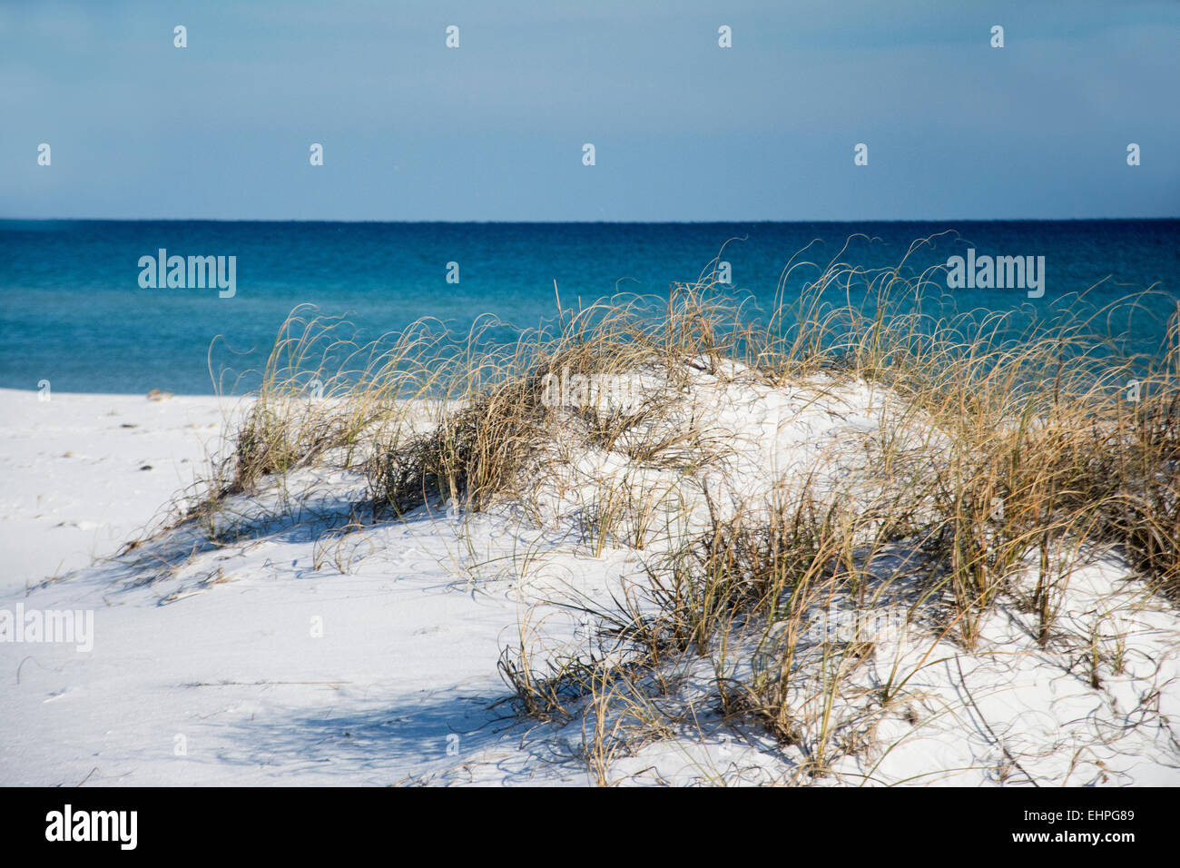 Gulf coast national seashore hi-res stock photography and images - Alamy