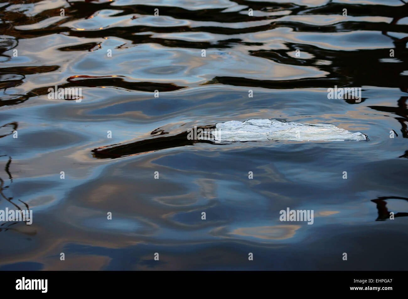 Floating piece of paper Stock Photo - Alamy