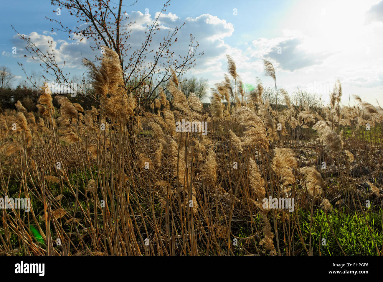 Warm weather bright weather hi-res stock photography and images - Alamy