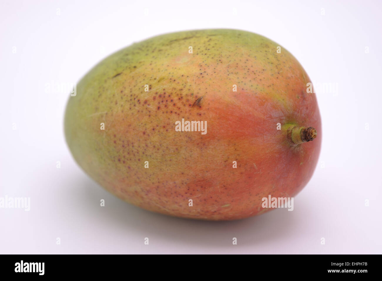 Over Ripe Mango