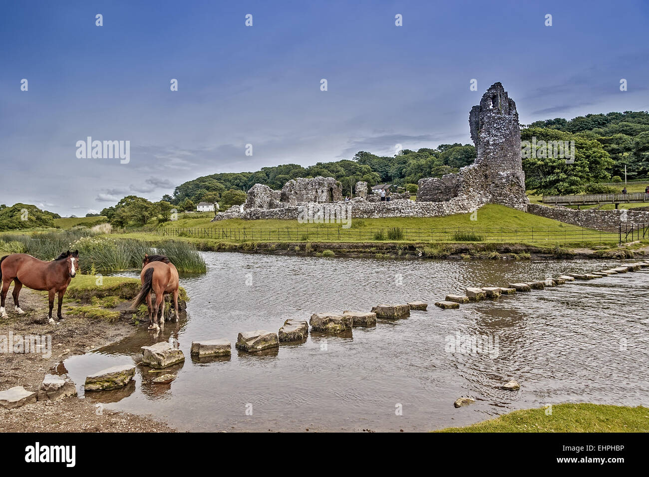 Stepping Stones At Ogmore Castle UK Stock Photo - Alamy