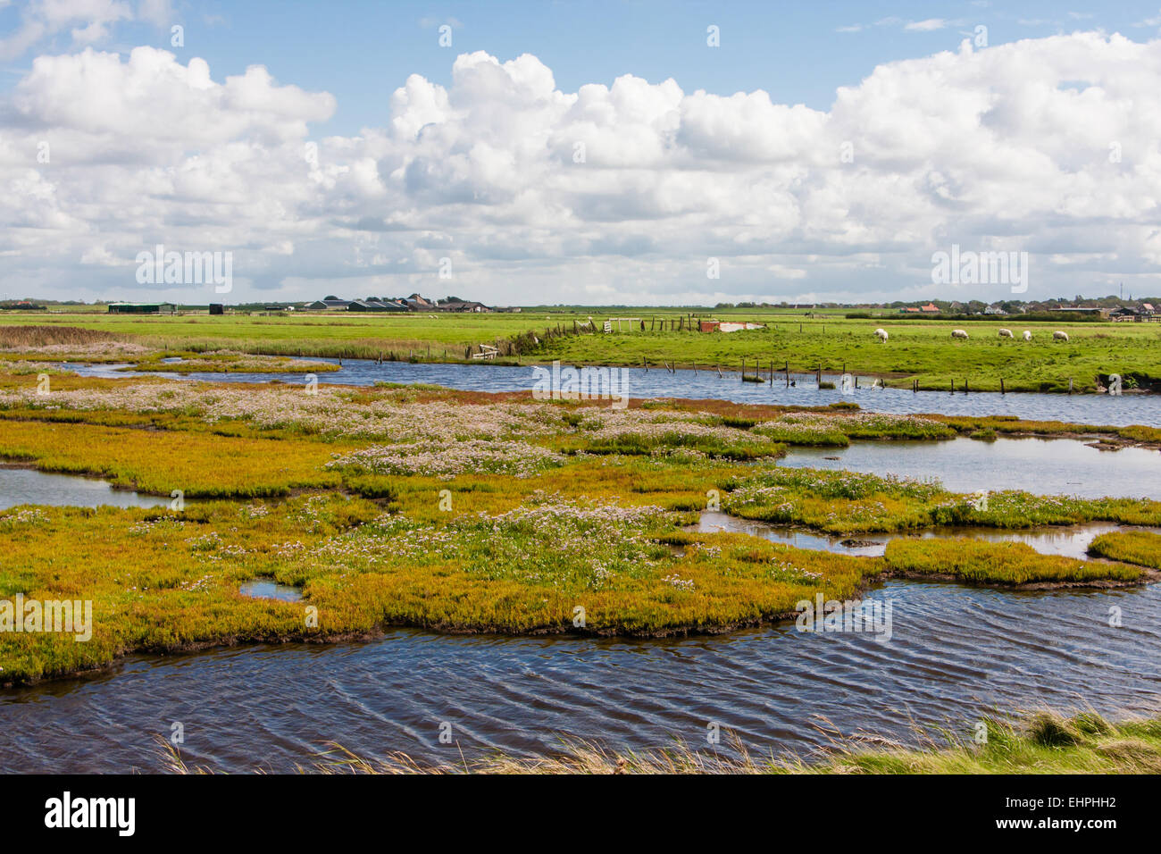 Behind The Levee Stock Photo Alamy