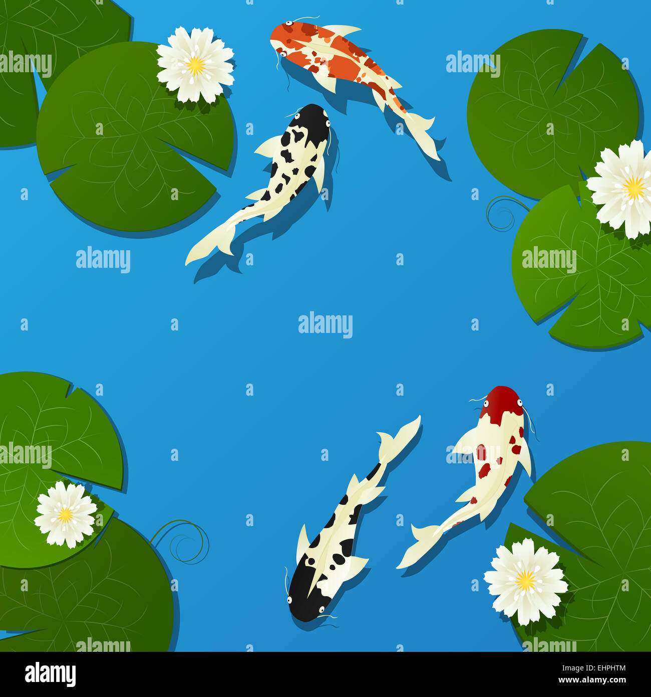 Koi fish and lotus Stock Photo - Alamy