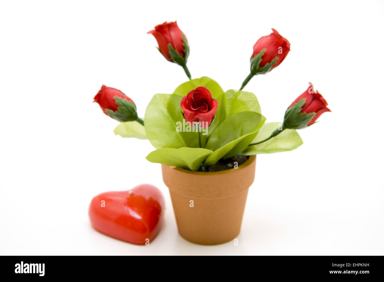 Wax roses hi-res stock photography and images - Alamy