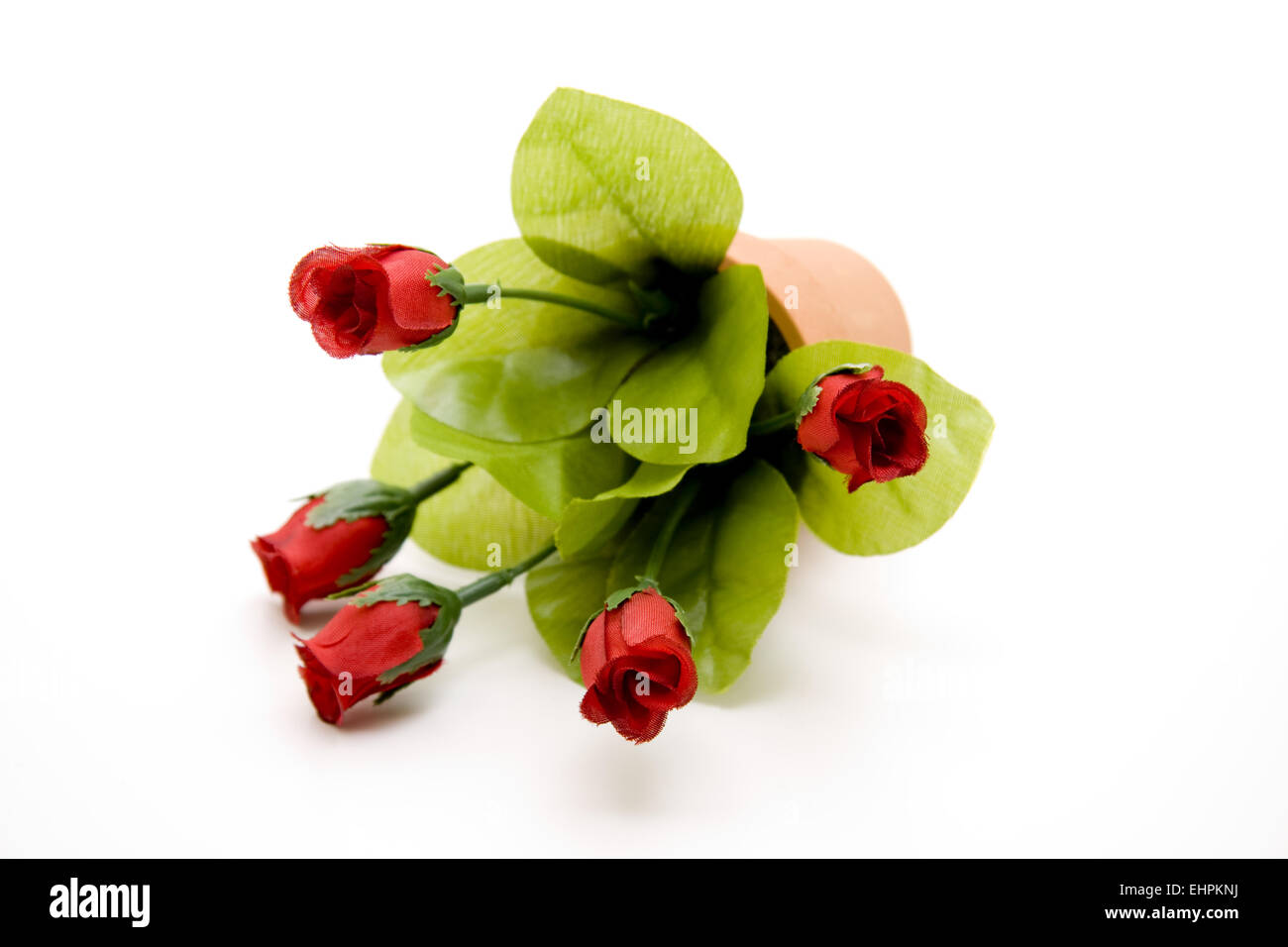 Plant of roses hi-res stock photography and images - Alamy