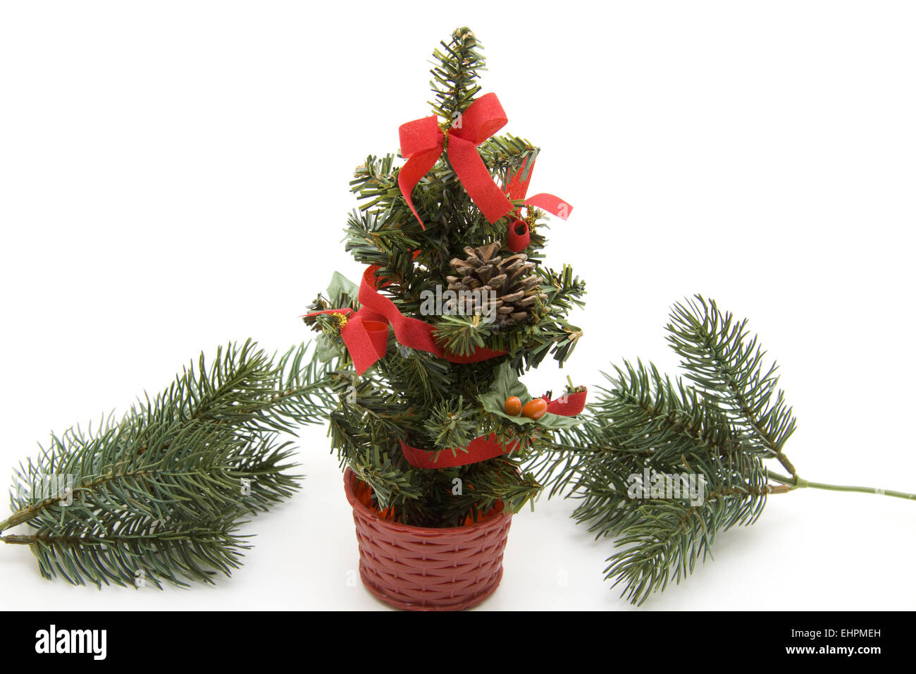 Tree branch loops hi-res stock photography and images - Alamy