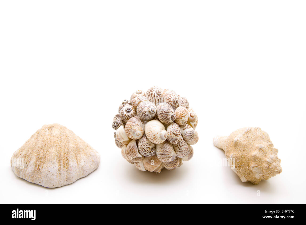 Ball and shells and beach hi-res stock photography and images - Alamy