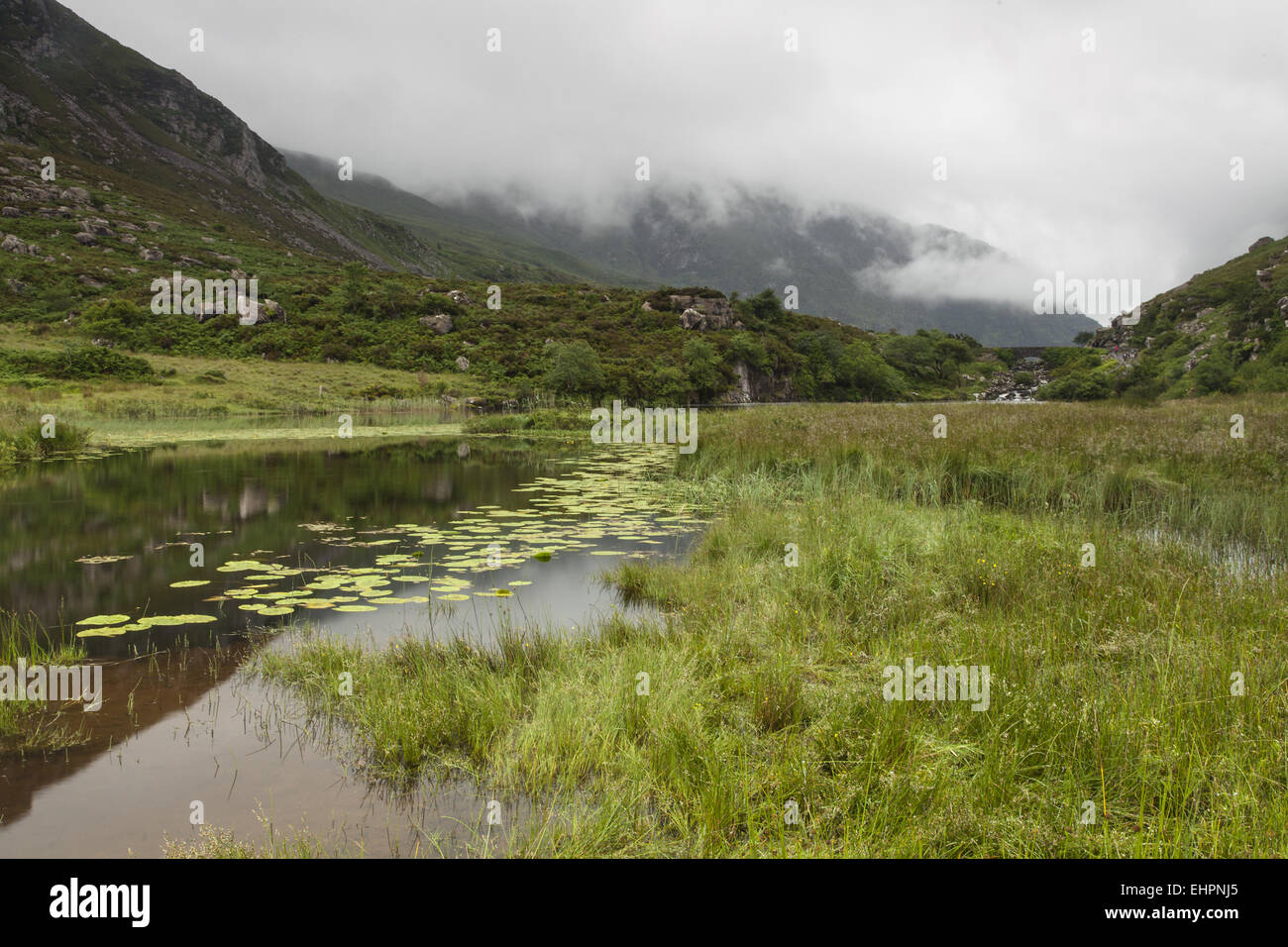 Landscape in the Gap of Dunloe in Ireland Stock Photo - Alamy