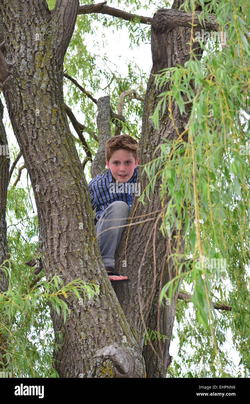 Skill tree hi-res stock photography and images - Alamy