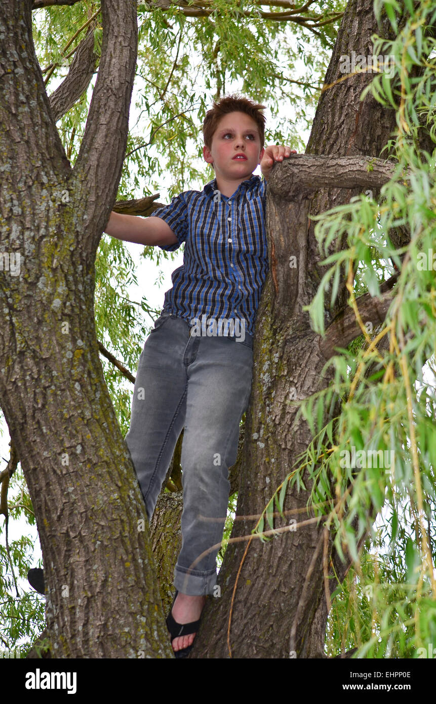 Kid Climbing A Tree High Resolution Stock Photography and Images - Alamy