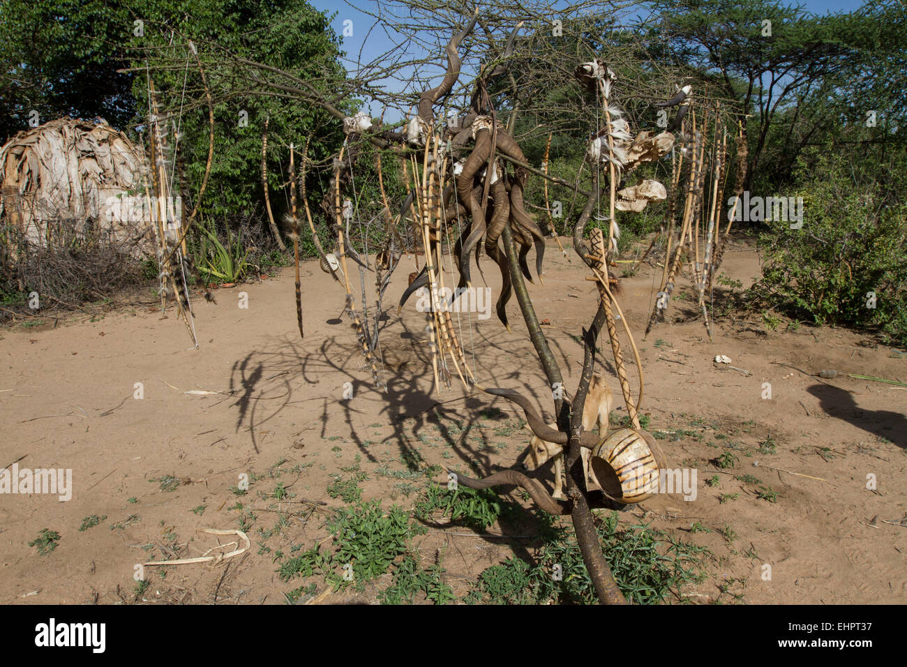 Collection of bones, bows and arrows from a Hadzabe tribe village Stock ...
