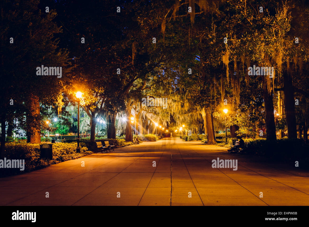 Oak trees and path at night in Forsyth Park, Savannah, Georgia Stock ...