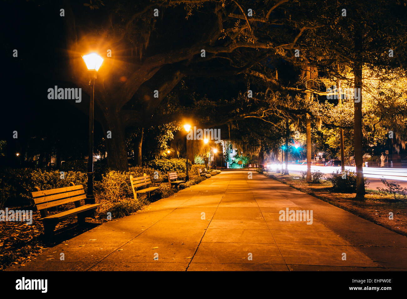 Oak trees and path at night in Forsyth Park, Savannah, Georgia Stock ...