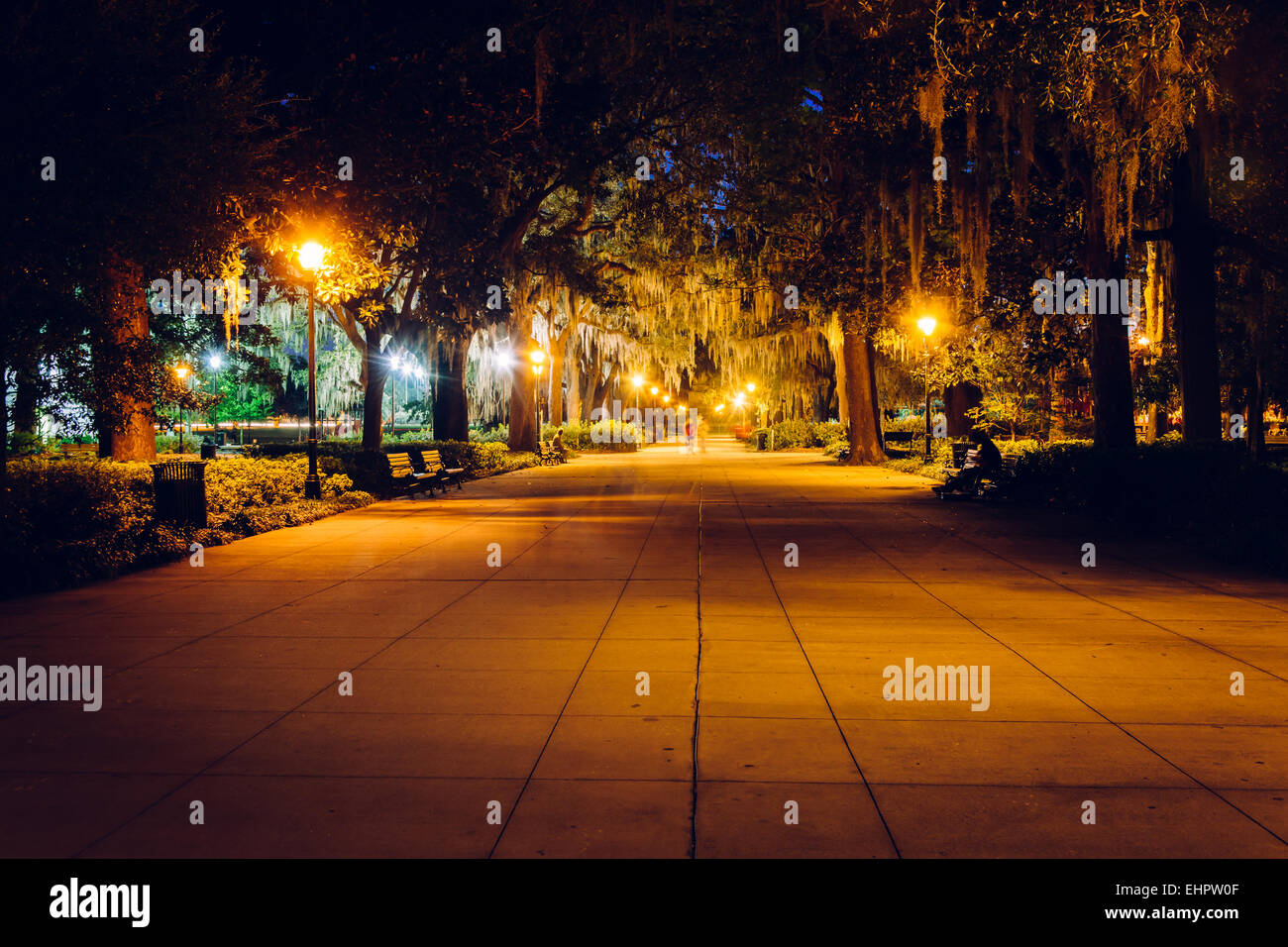 Oak trees and path at night in Forsyth Park, Savannah, Georgia Stock ...