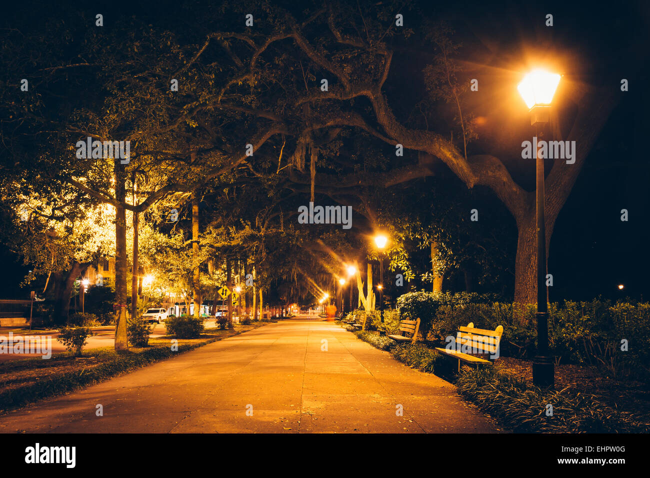 Oak trees and path at night in Forsyth Park, Savannah, Georgia Stock ...
