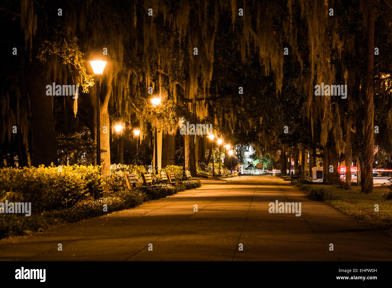 Oak trees and path at night in Forsyth Park, Savannah, Georgia Stock ...