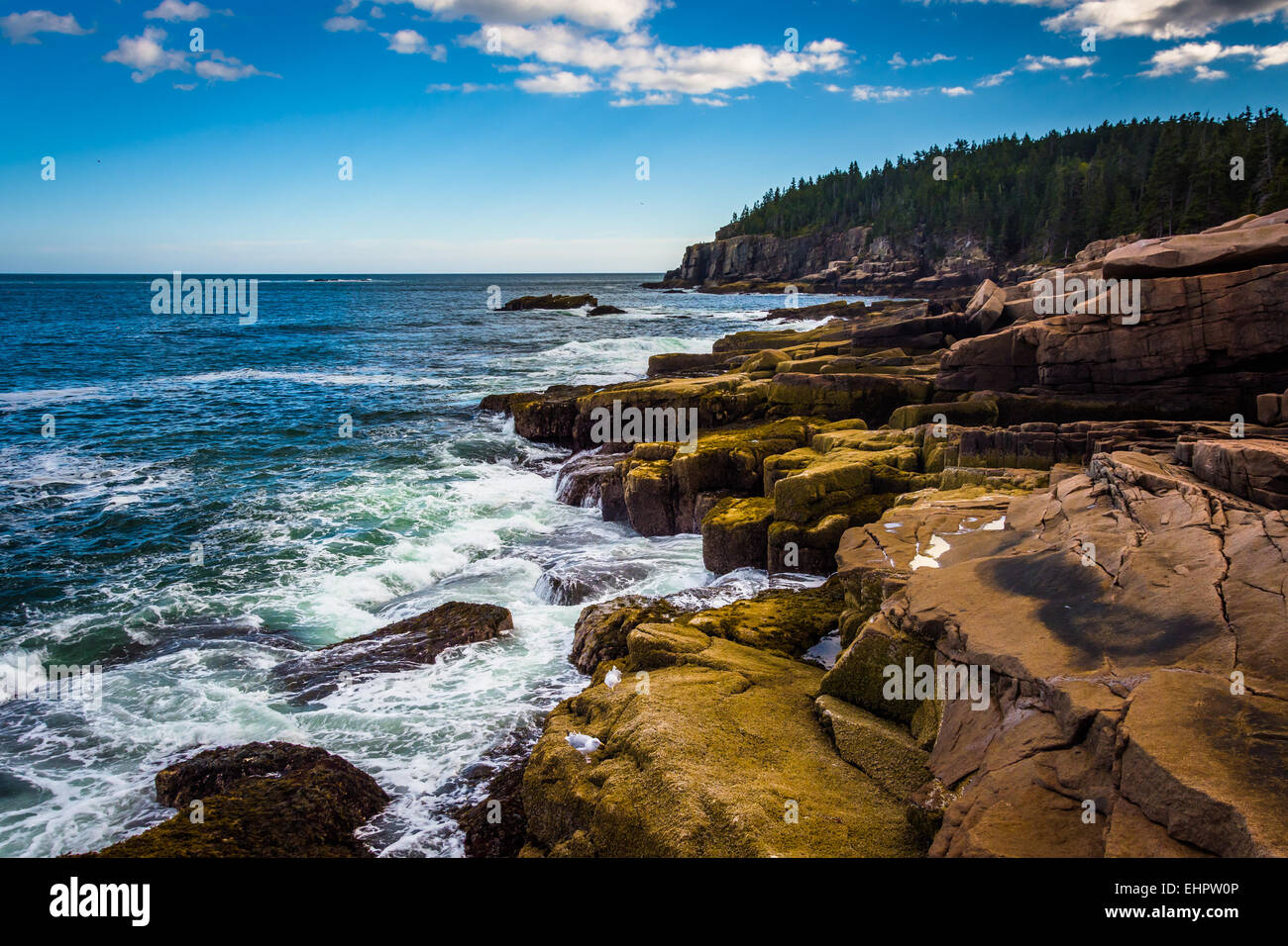 Otter Cliffs and the Atlantic Ocean in Acadia National Park, Maine ...