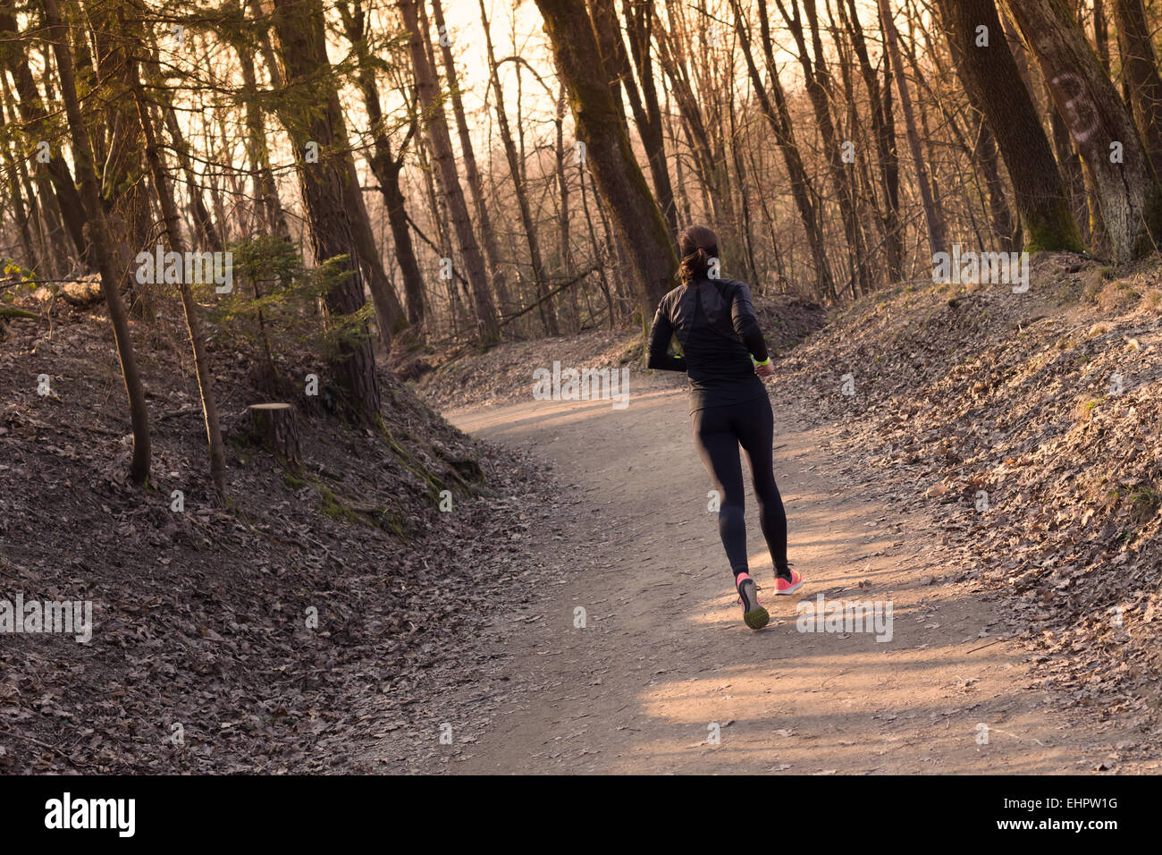 Female runner in the forest Stock Photo - Alamy