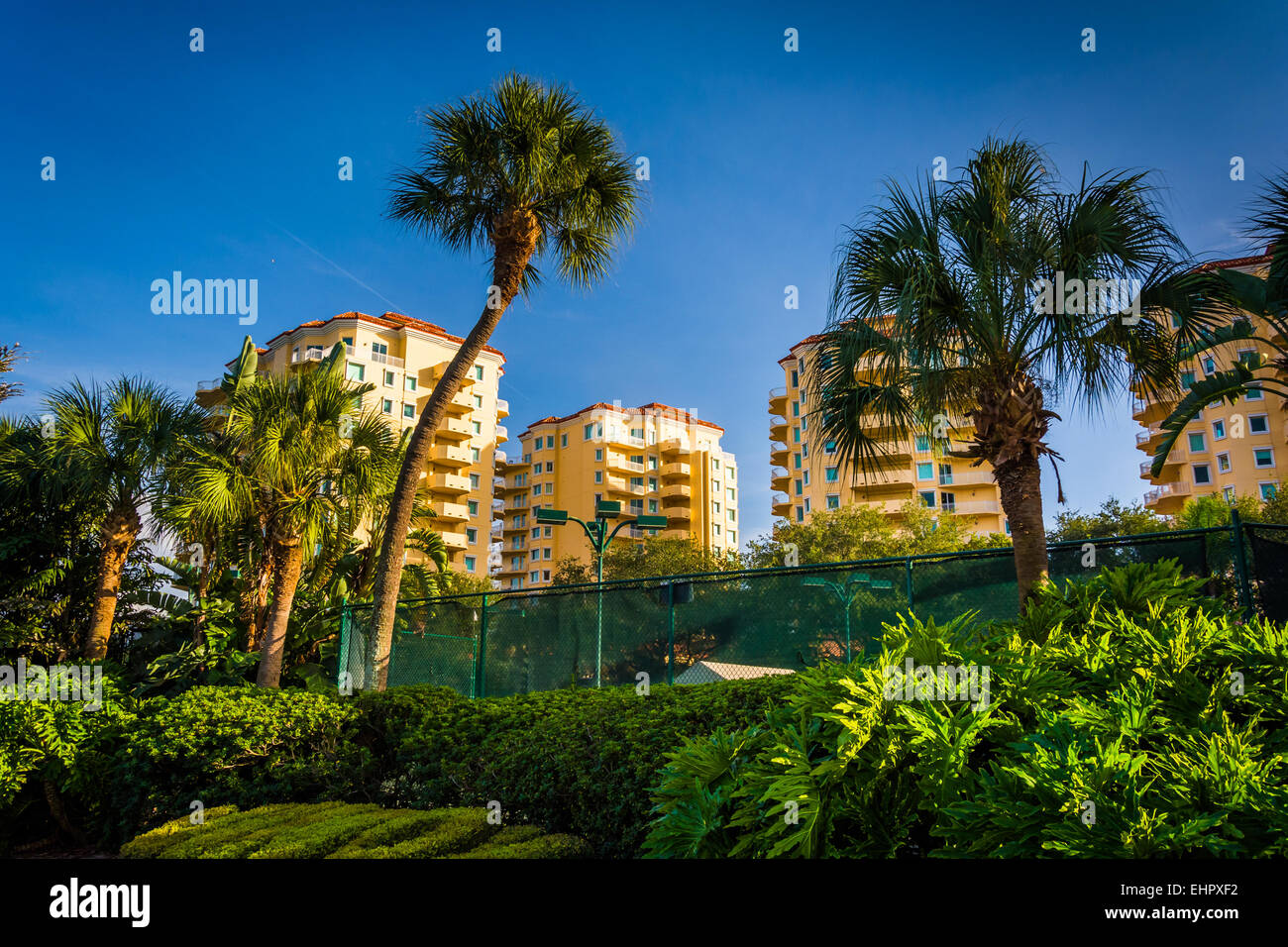 Condo nature hi-res stock photography and images - Alamy