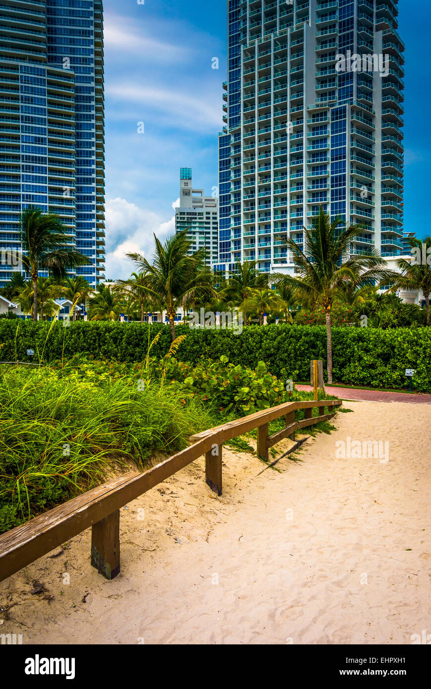 Path to the beach and highrises in South Beach, Miami, Florida Stock ...
