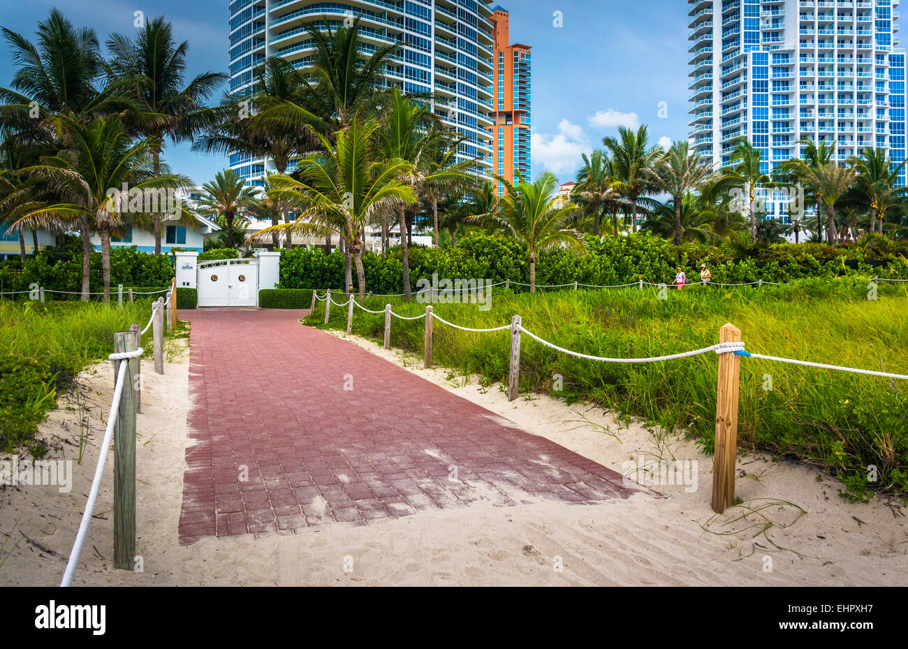 Path to the beach and skyscrapers in Miami Beach, Florida Stock Photo ...