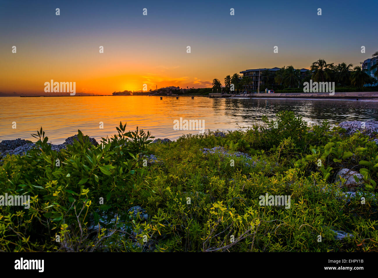 Rocks and bushes on a jetty at sunset, at Smathers Beach, Key West ...