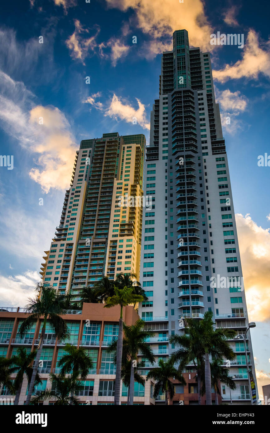 Skyscrapers at sunset in downtown Miami, Florida Stock Photo - Alamy