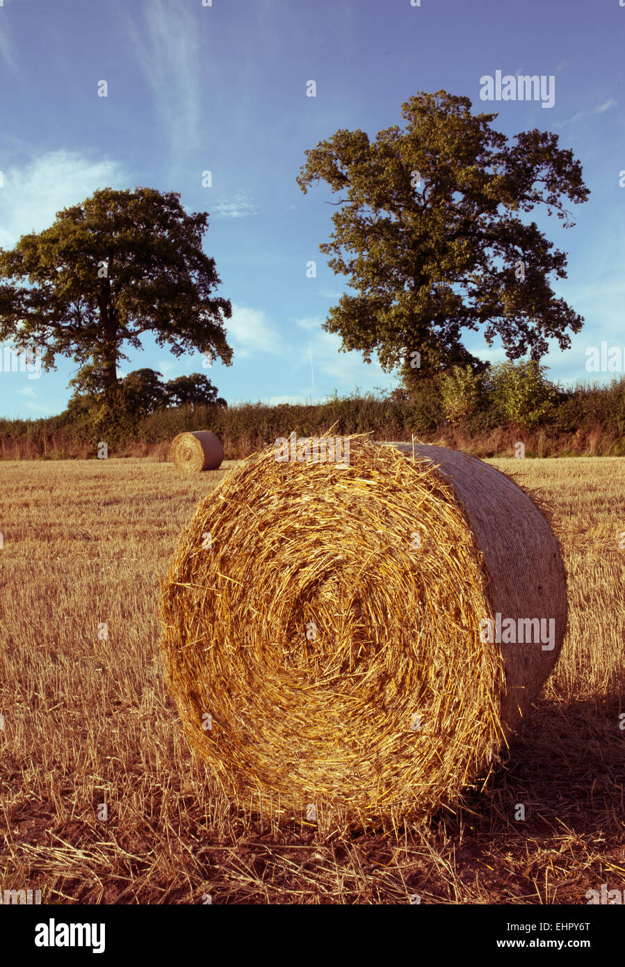 Rolled hay bale closeup hi-res stock photography and images - Alamy