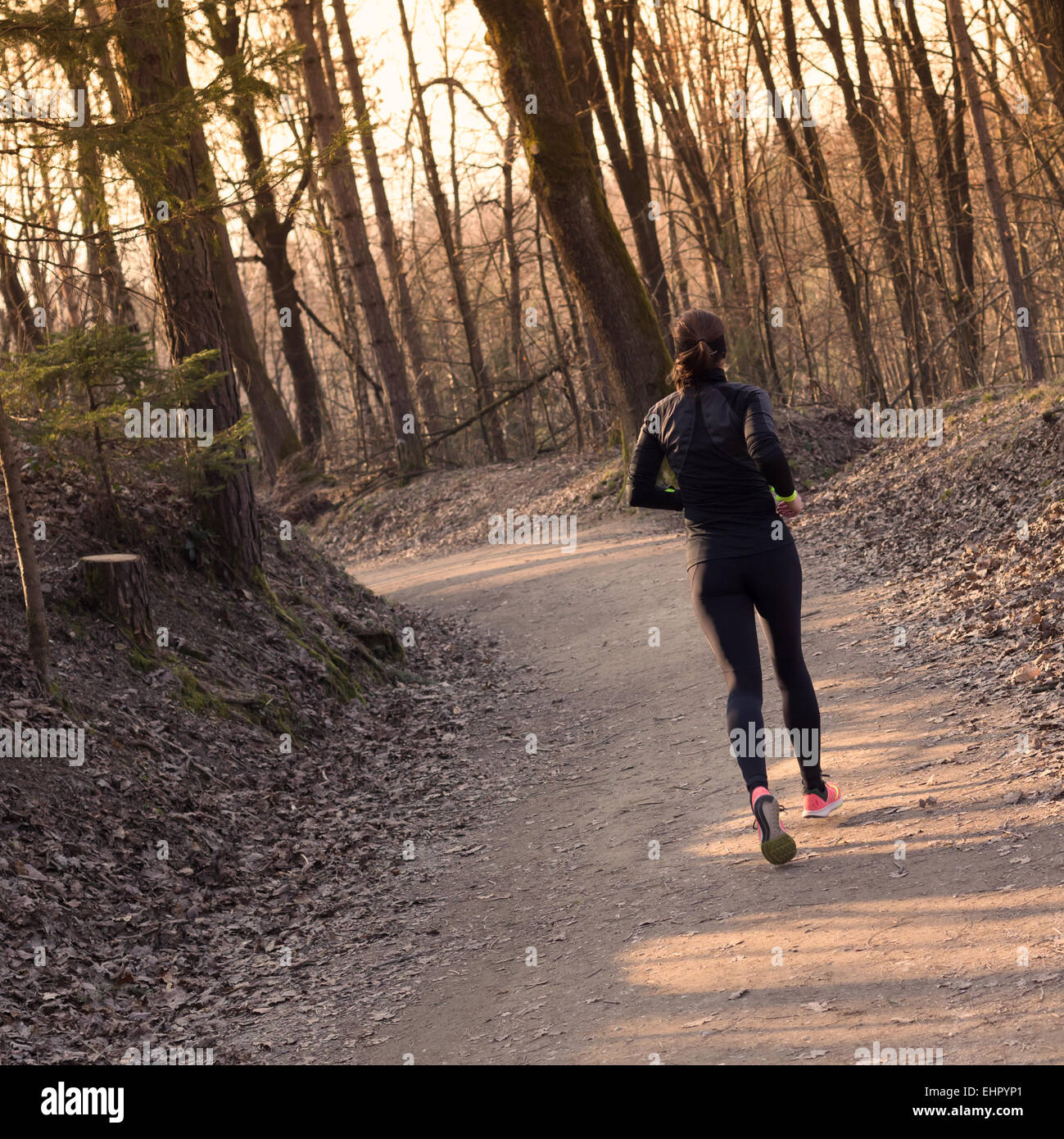 Female runner in the forest Stock Photo - Alamy