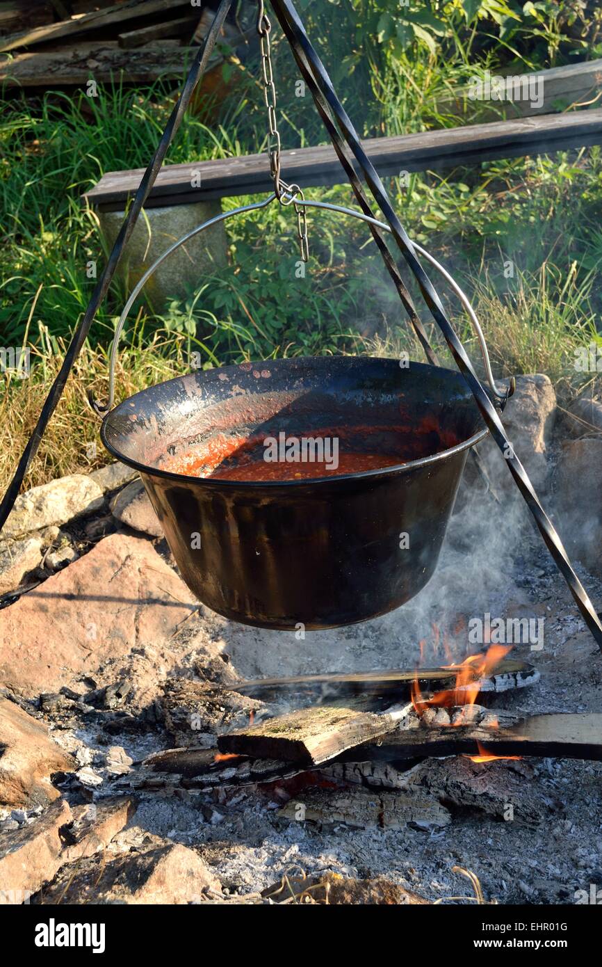 Cooking meat on campfire hi-res stock photography and images - Alamy