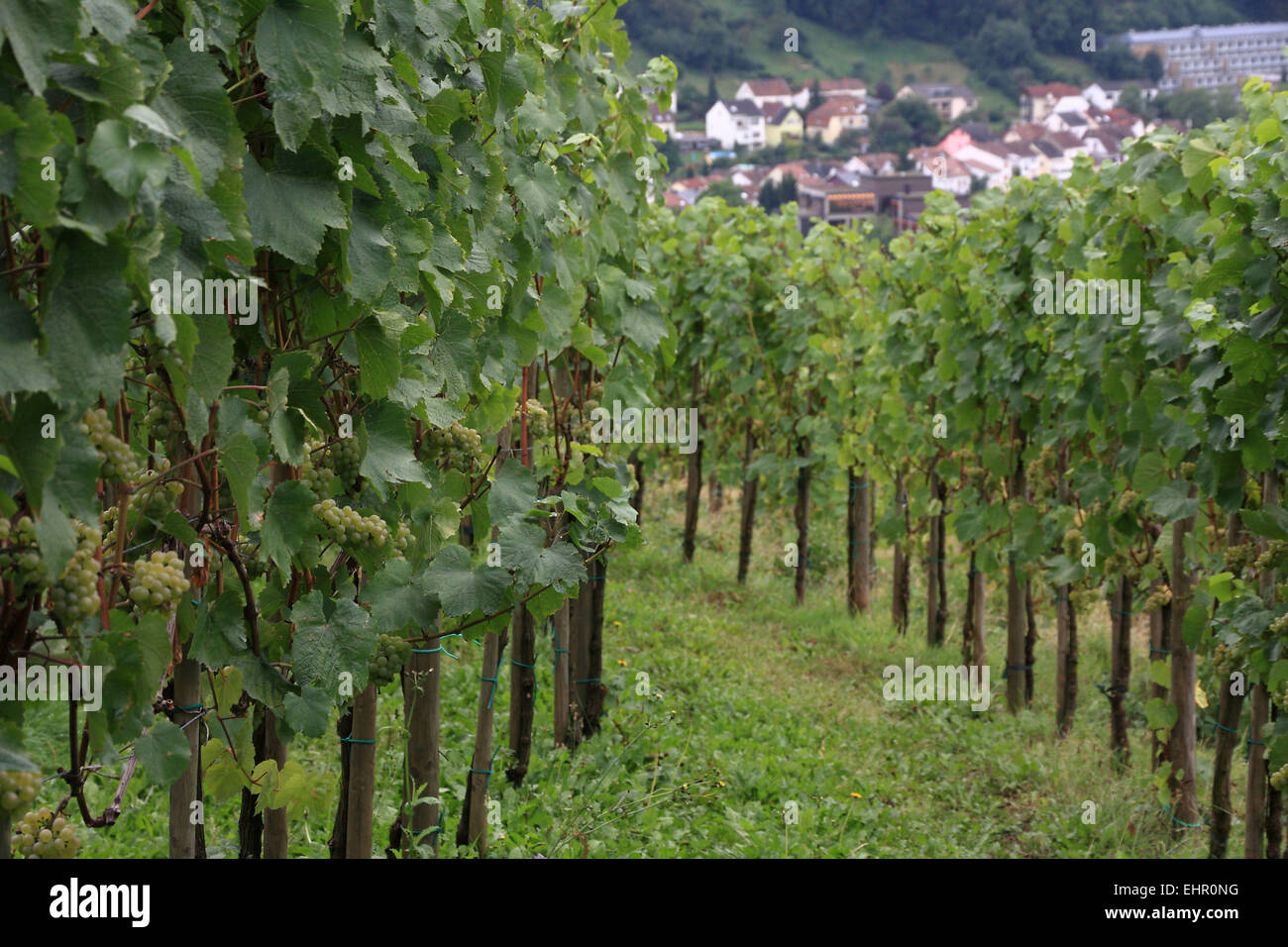 Merzig saarland hi-res stock photography and images - Alamy