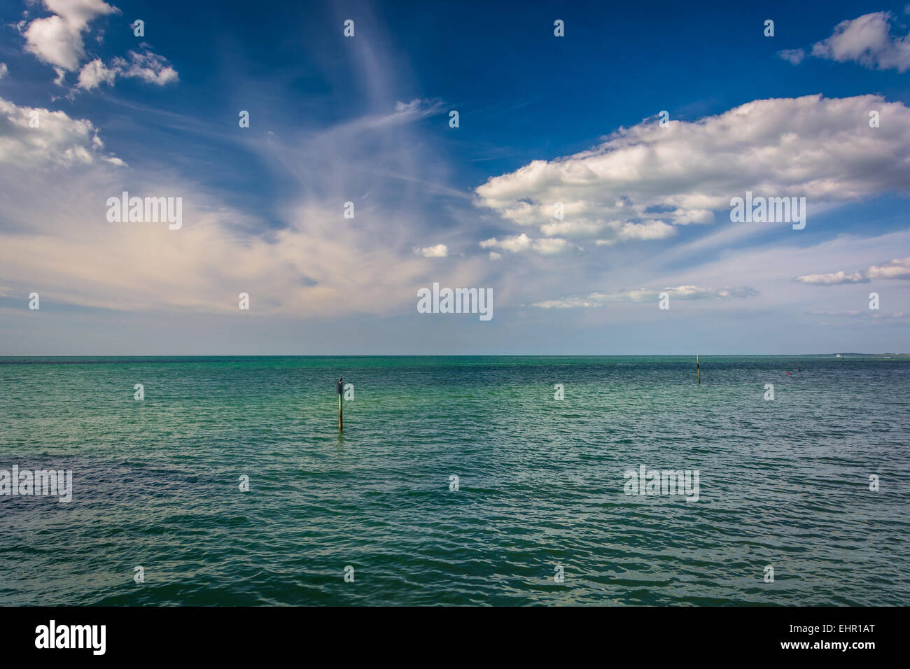 The Gulf of Mexico in Clearwater Beach, Florida Stock Photo - Alamy