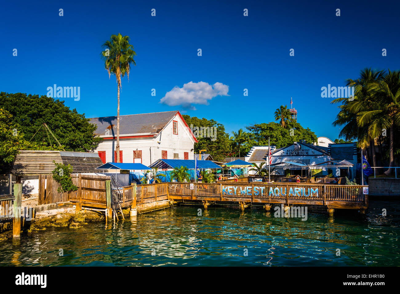 Key west aquarium hi-res stock photography and images - Alamy