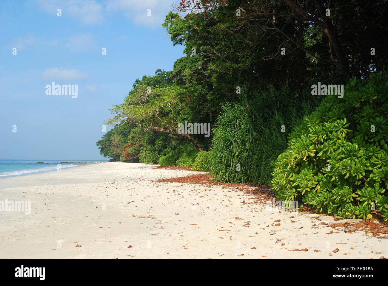 radha nagar beach havelock island andaman islands india Stock Photo - Alamy